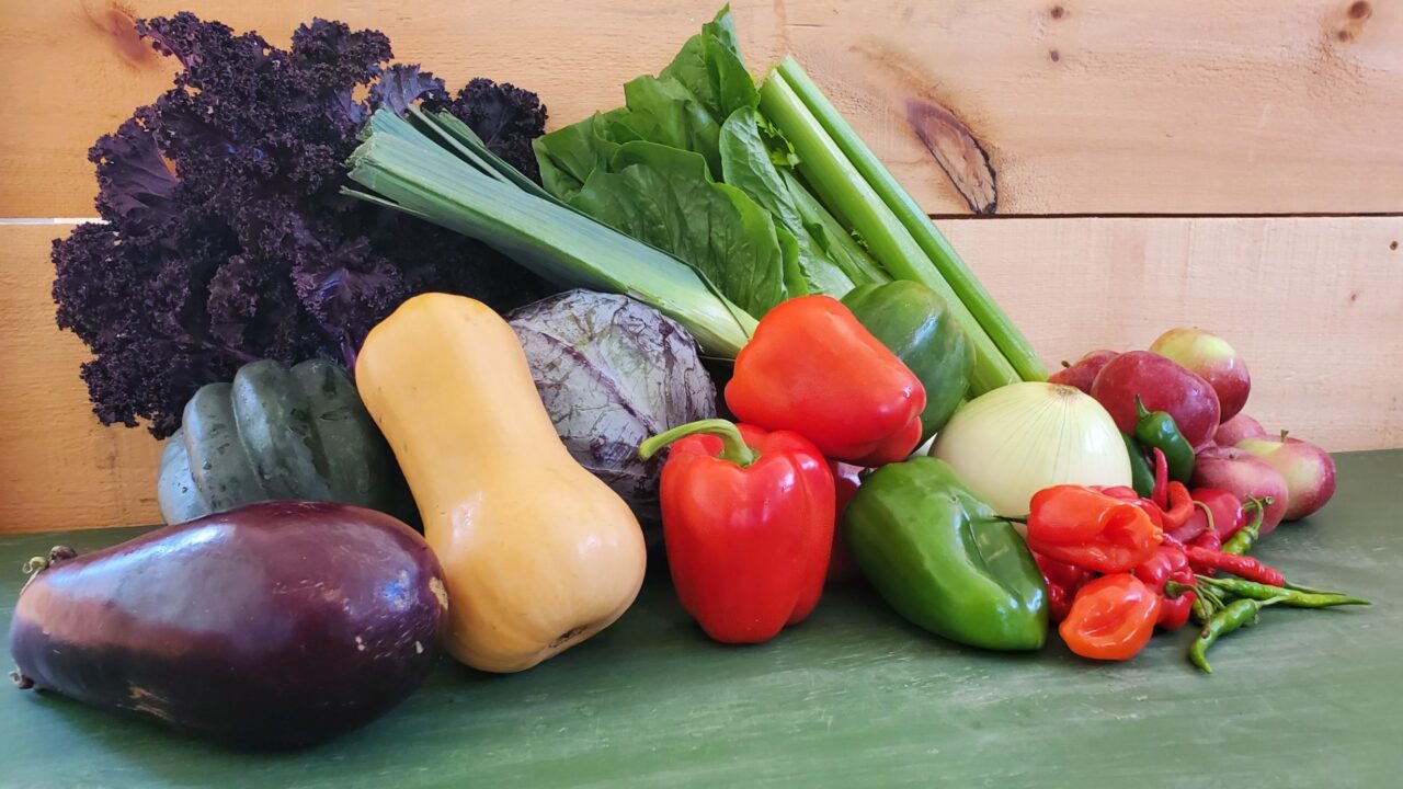 Mike's Garden Harvest - Organic Vegetable CSA Baskets Ottawa