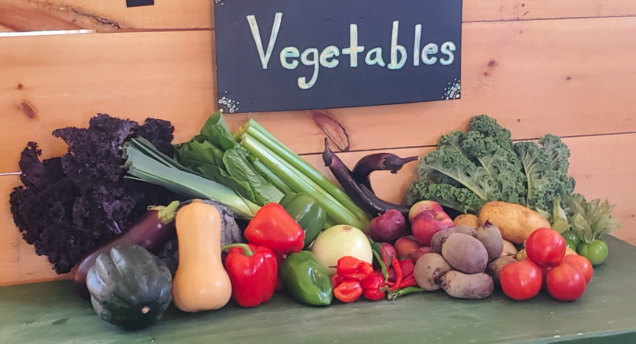 Mike's Garden Harvest - Organic Vegetable CSA Baskets Ottawa